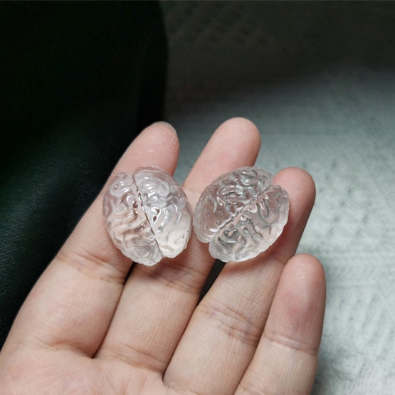 Mini Brain Silicone Mold-human Brain Mold-brain Resin | Etsy
