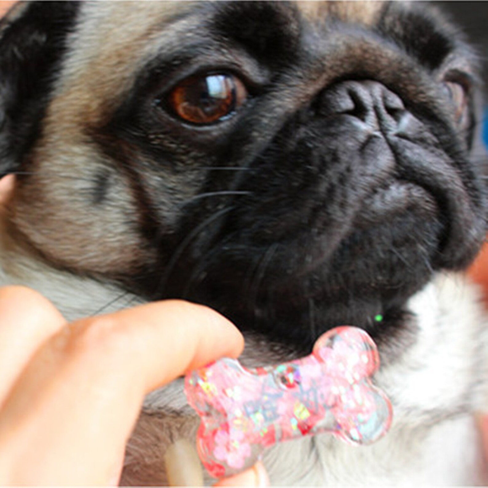 Dog Bone Silicone Mold-dog Paw Resin Mold-dog Bone Pendant | Etsy