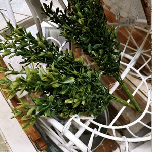 Boxwood Stem, Boxwood Greenery, Floral Stems, Farmhouse Greenery ...