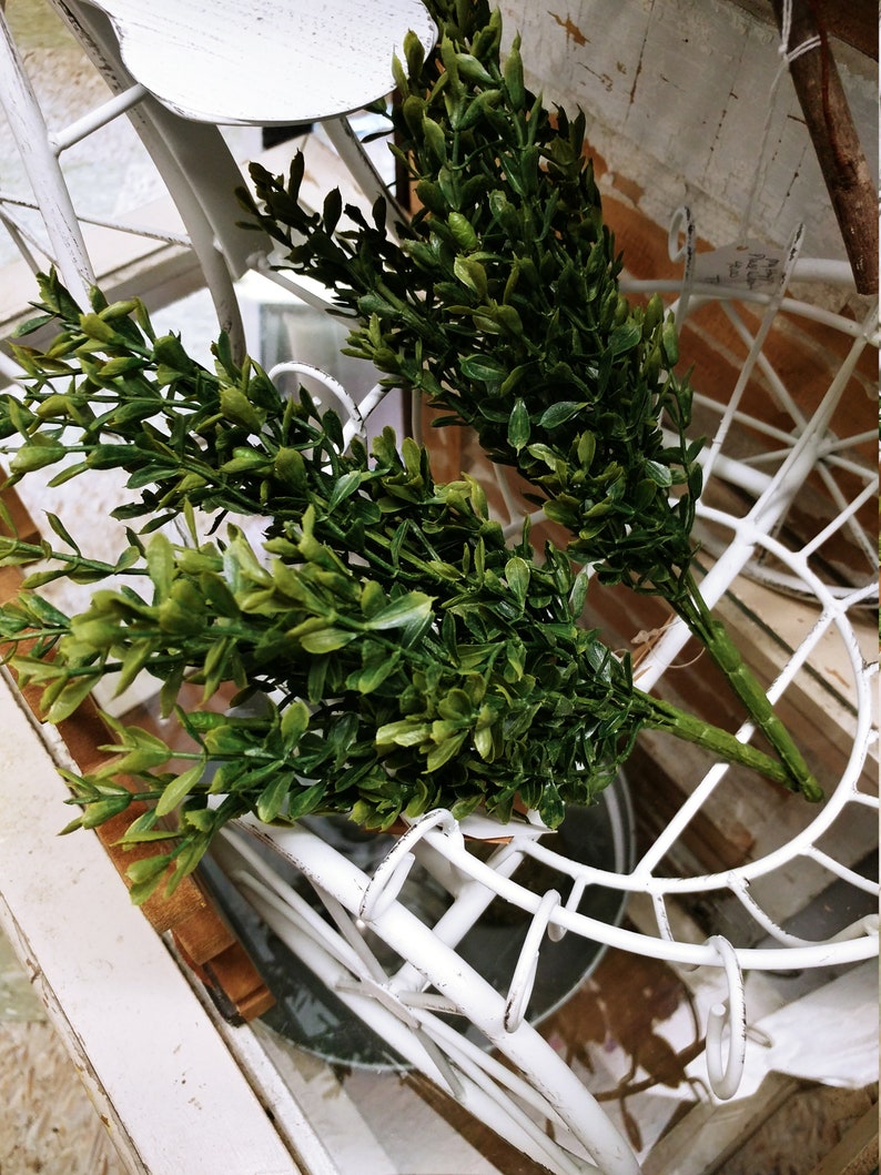 Boxwood stem boxwood greenery floral stems farmhouse | Etsy