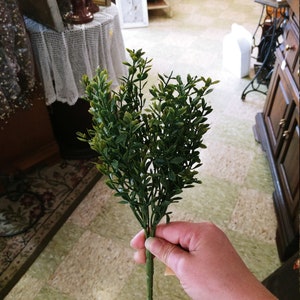 Boxwood Stem, Boxwood Greenery, Floral Stems, Farmhouse Greenery ...