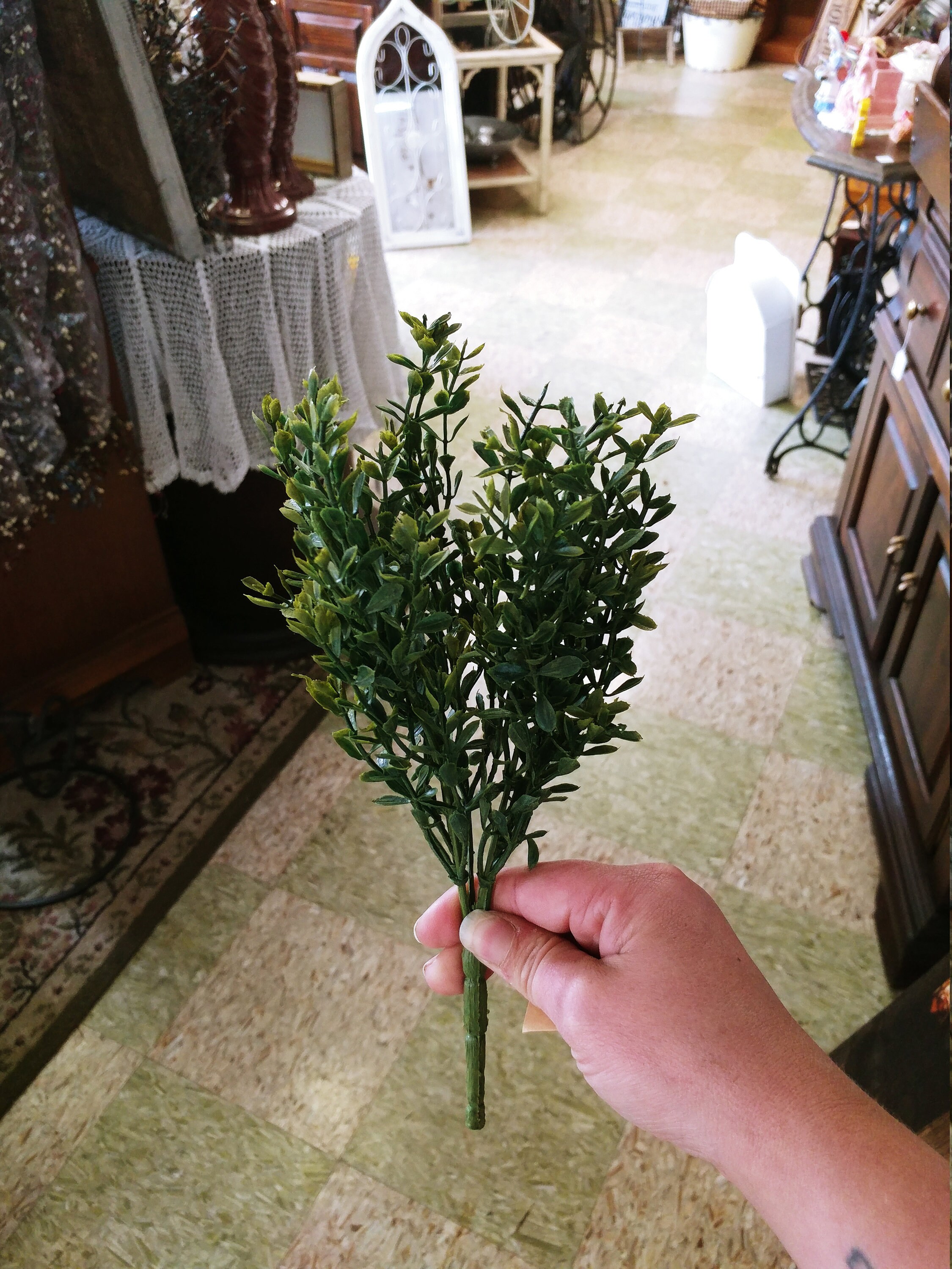 Boxwood Stem Boxwood Greenery Floral Stems Farmhouse - Etsy