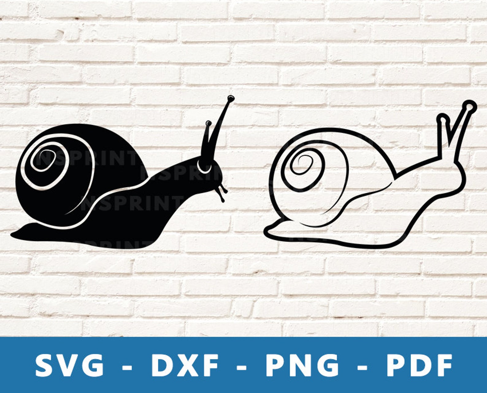 Snail SVG Snail PNG Snail Vector Snail Clipart Excargot - Etsy