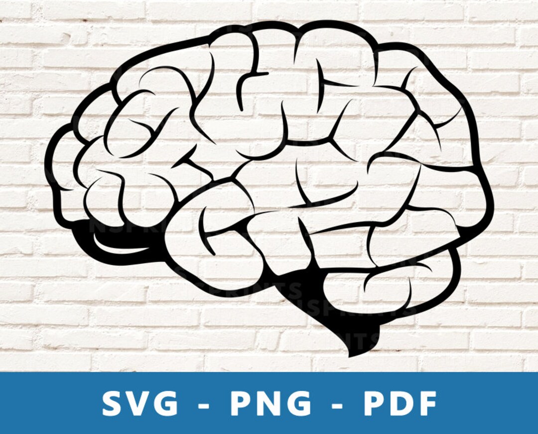 Brain SVG, Brain PNG, Brain Clip Art, Brain Cut File, Brain Stencil ...