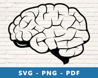 Brain Silhouette Brain Svg Brain Png Brain Cricut Anatomy - Etsy