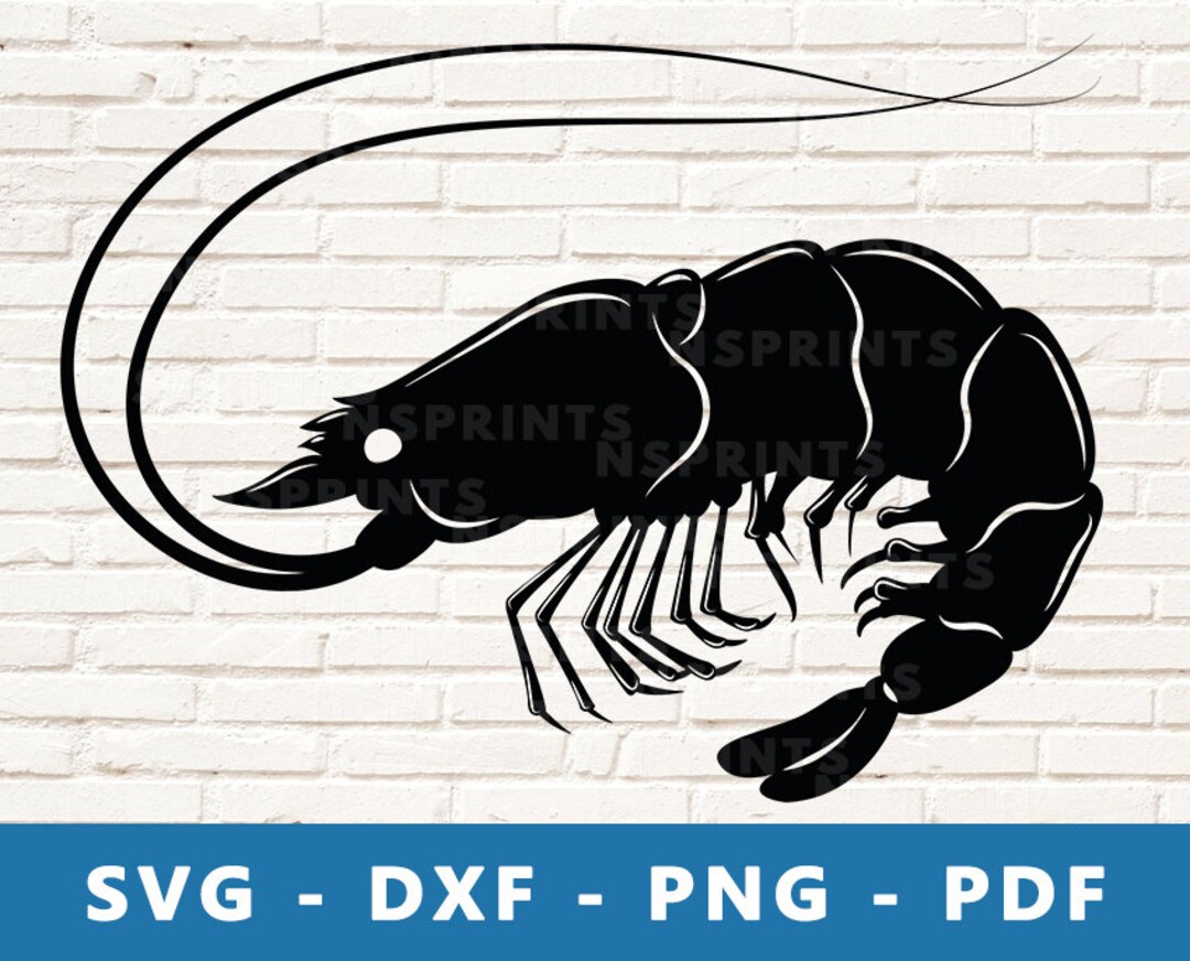 Shrimp SVG #1, Shrimp PNG, Shrimp Clipart, Shrimp Vector, Shrimp Dxf ...
