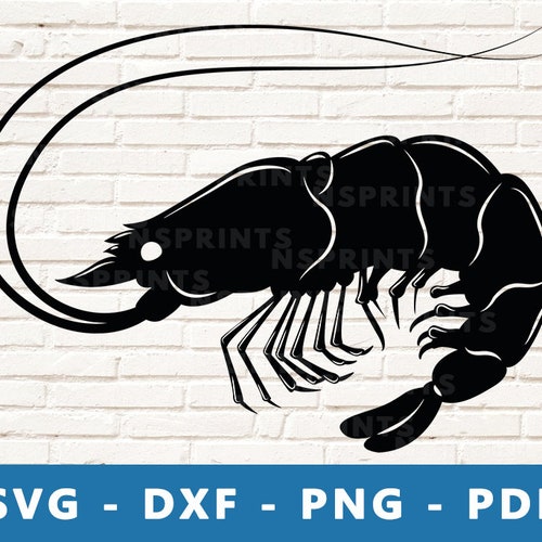 Shrimp SVG 1 Shrimp PNG Shrimp Clipart Shrimp Vector - Etsy