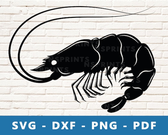 Shrimp SVG 1 Shrimp PNG Shrimp Clipart Shrimp Vector - Etsy