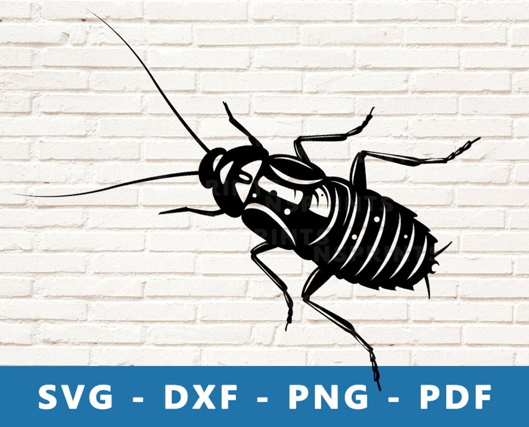 Cockroach Svg, Cockroach Insect Png, Pest Clipart, Cockroach Icon, Bug ...