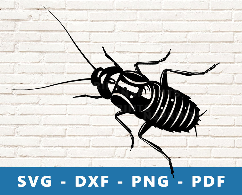 Visual Arts Craft Supplies & Tools Cockroach #2 SVG Cockroach Png ...