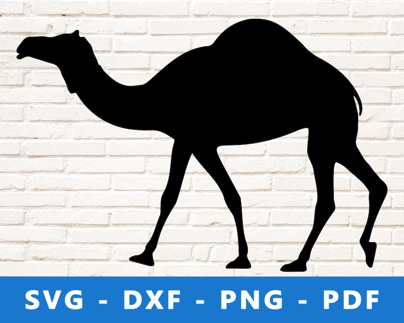 Camel SVG, Camel Silhouette PNG, Camel Vector, Camel Cricut, Camel Dxf ...