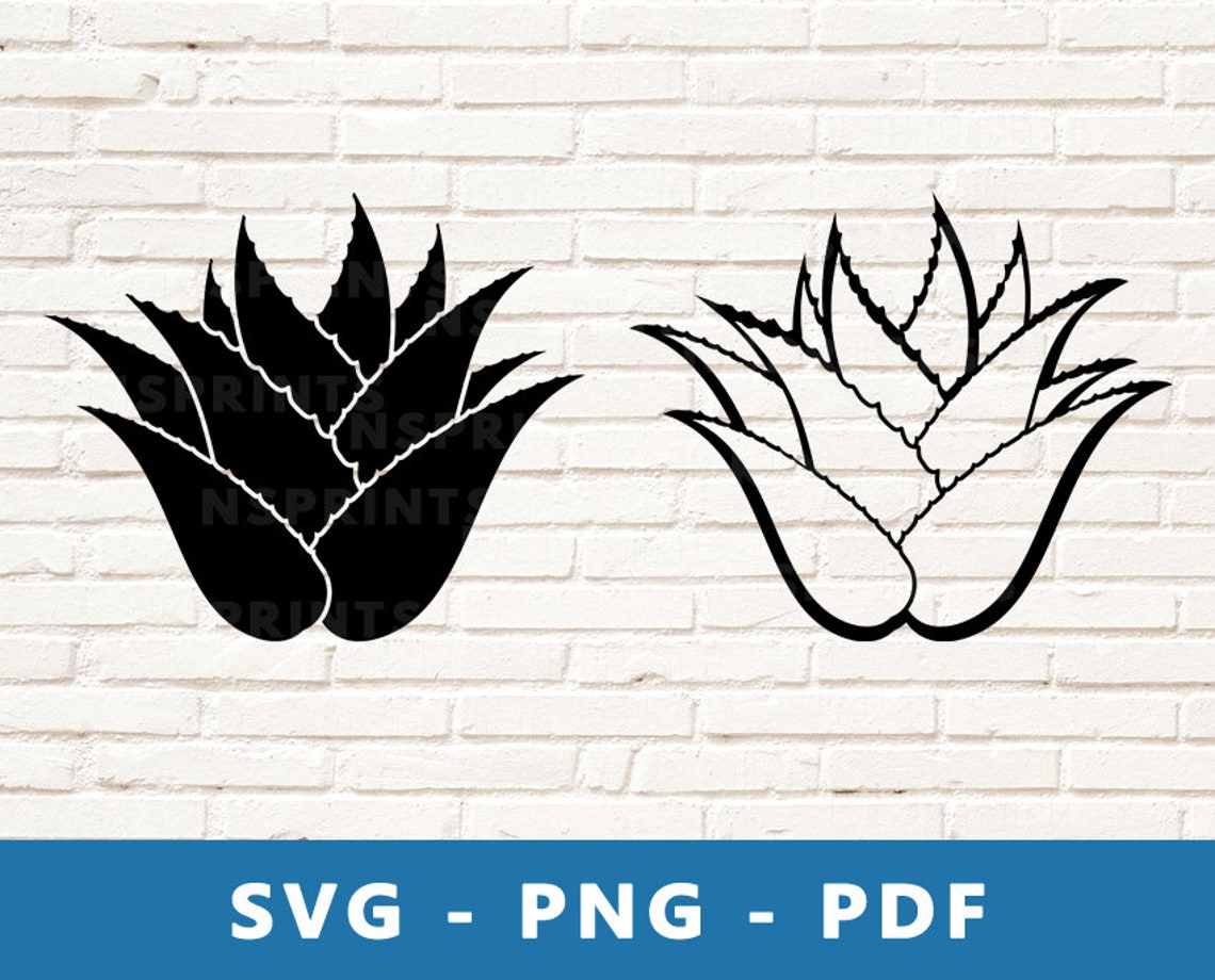 Aloe Vera SVG Aloe Vera PNG Aloe Vera Clipart Aloe Vera Cut | Etsy