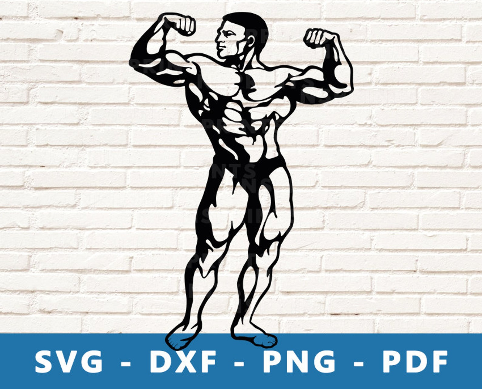 Bodybuilder SVG, Bodybuilding Svg, Bodybuilder Man PNG, Muscle Svg ...