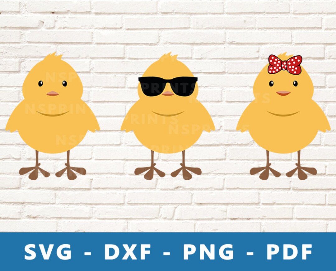 Chick SVG, Chick PNG, Easter Chick Vector, Chick With Sunglasses Dxf ...