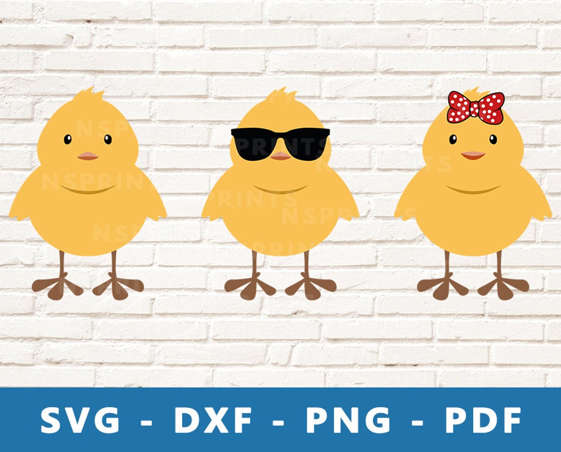 Chick SVG Chick PNG Easter Chick Vector Chick With | Etsy