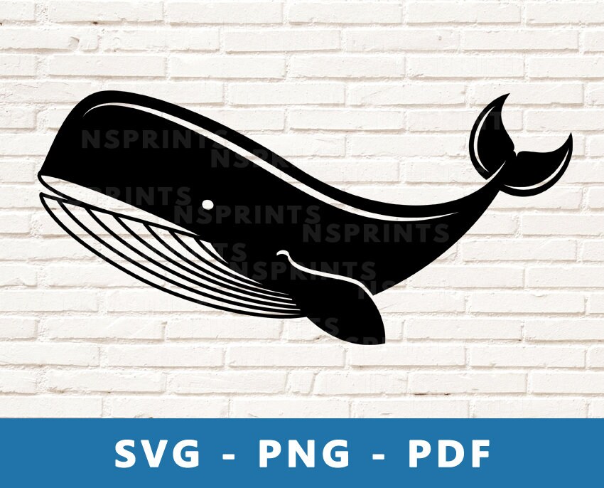 Whale SVG Whale PNG Whale Clipart Whale Whale Cut File - Etsy
