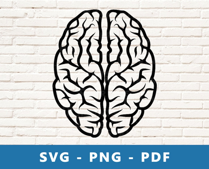Brain SVG, Brain PNG, Brain Clipart, Brain Cut File, Brain Stencil ...