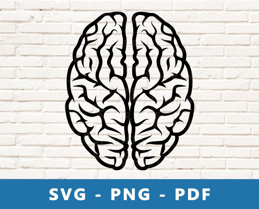 Brain SVG, Brain PNG, Brain Clipart, Brain Cut File, Brain Stencil ...
