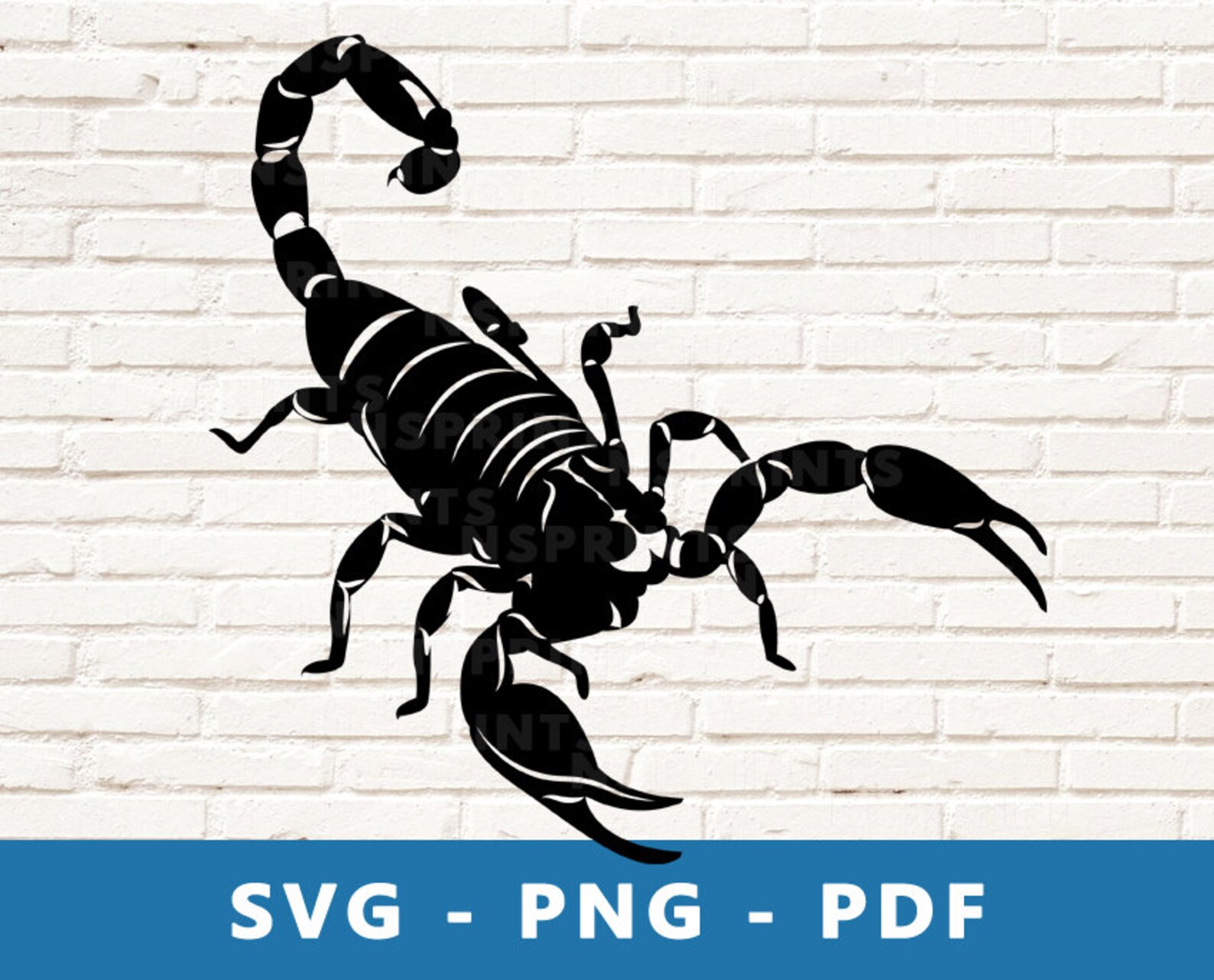 Scorpion SVG, Scorpion PNG, Scorpion Clipart, Scorpion Cut File ...