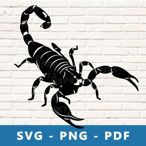 Scorpion SVG/ Scorpion Clipart/ Cut Files/ Cricut/ Silhouette/ - Etsy