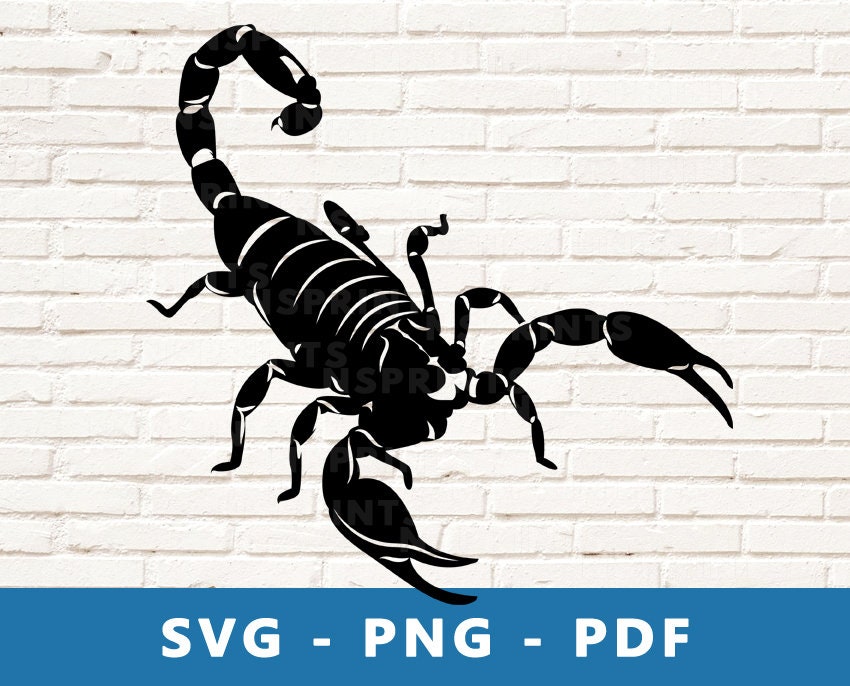 Scorpion SVG, Scorpion PNG, Scorpion Clipart, Scorpion Cut File ...