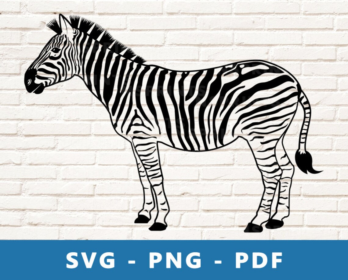 Zebra SVG Zebra PNG Zebra Clipart Zebra Cut File Zebra - Etsy