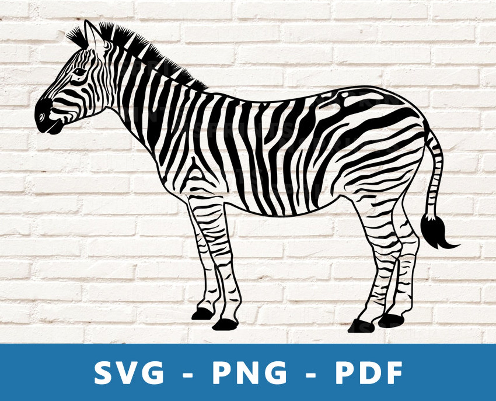 Zebra SVG Zebra PNG Zebra Clipart Zebra Cut File Zebra - Etsy