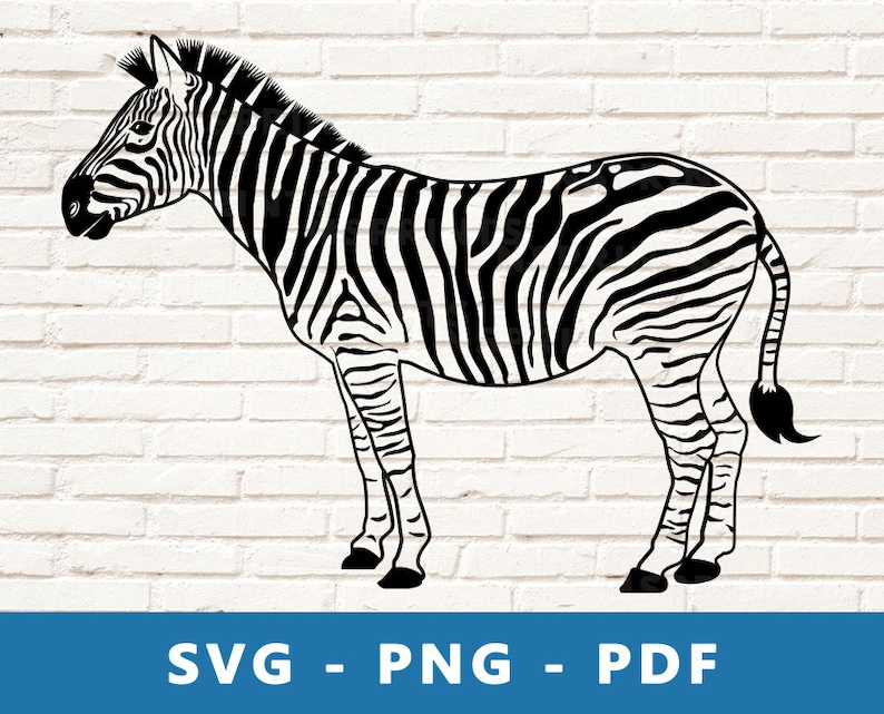 Zebra SVG Zebra PNG Zebra Clipart Zebra Cut File Zebra - Etsy