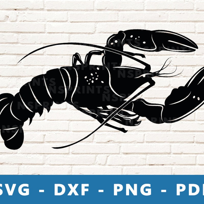 Lobster Svg - Etsy