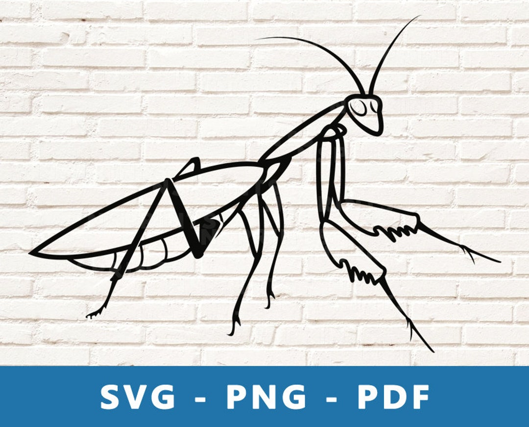 Mantis SVG, Praying Mantis PNG, Mantis Clipart, Mantis Cut File, Mantis ...
