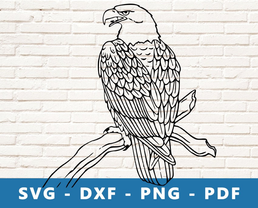 Eagle SVG, Eagle PNG, Eagle Clipart, Eagle , Eagle Cut File, Eagle ...