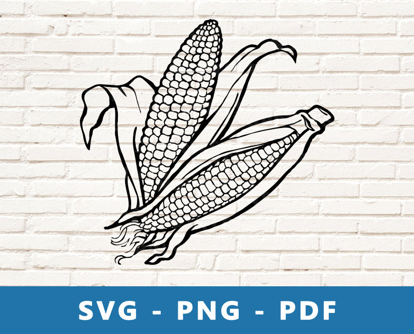 Corn SVG, Corn PNG, Corn Clipart, Corn Cut File, Corn Stencil, Corn ...
