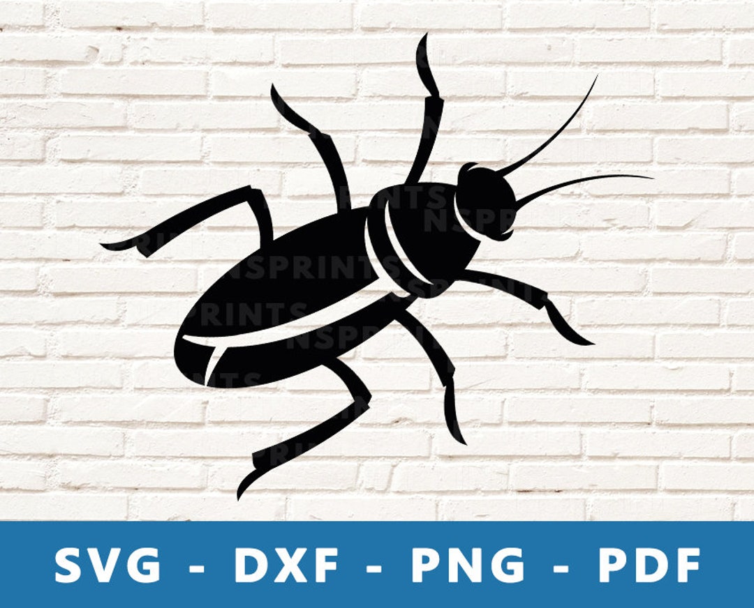 Cockroach SVG, Cockroach PNG, Cockroach Clipart, Cockroach Vector ...
