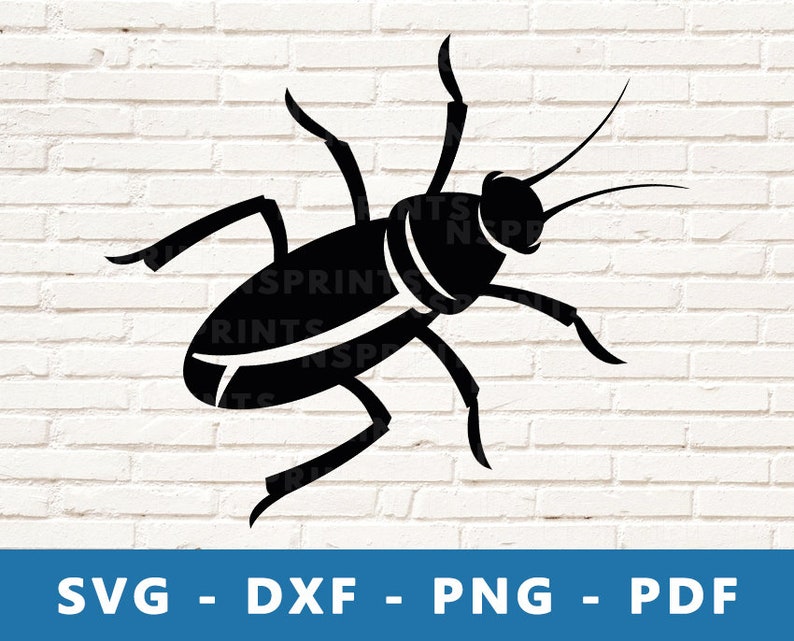 Cockroach SVG, Cockroach PNG, Cockroach Clipart, Cockroach Vector ...