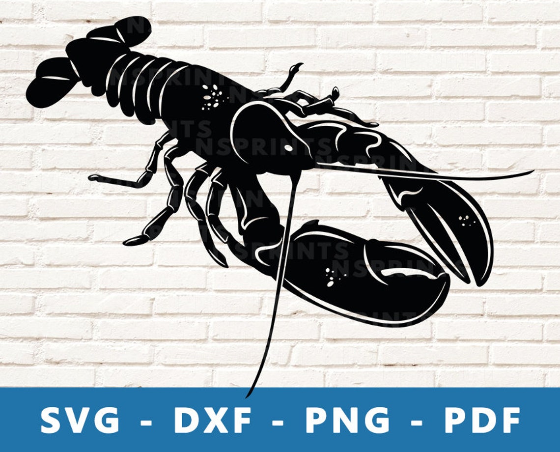 Lobster SVG 3 Lobster PNG Lobster Vector Clipart Lobster - Etsy