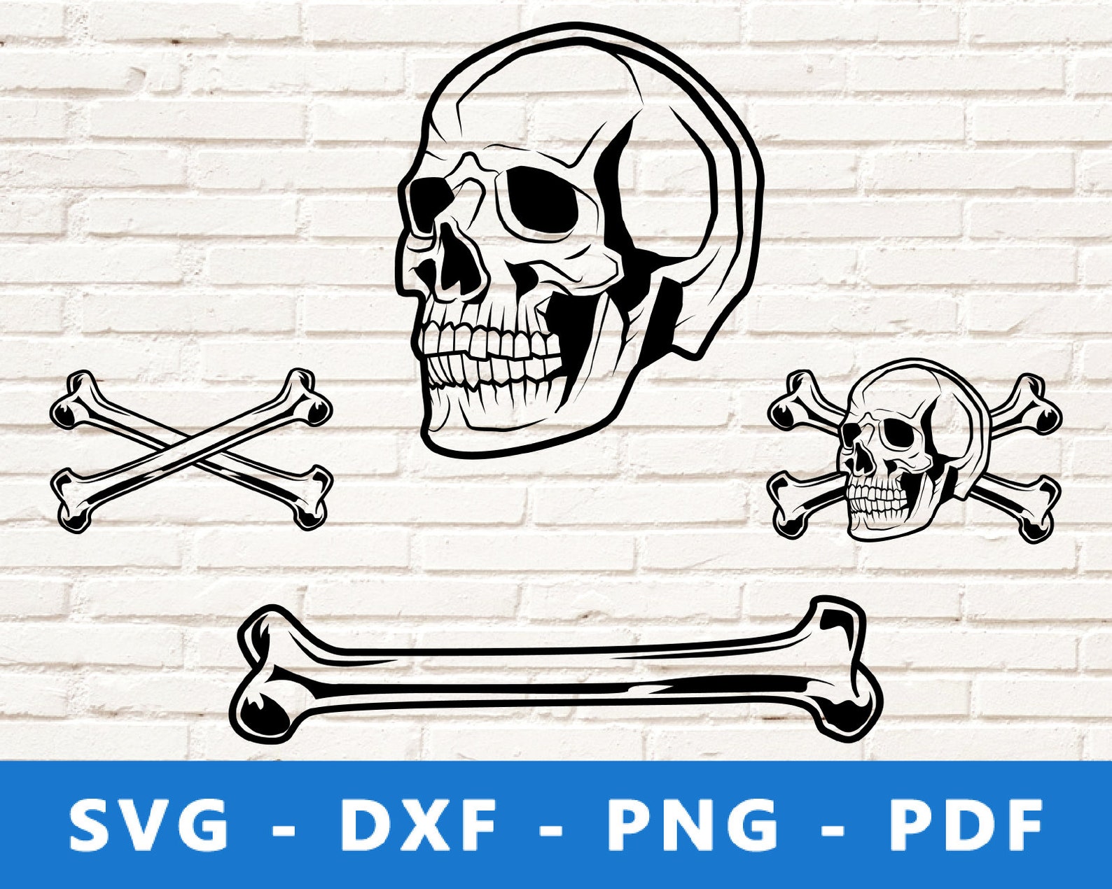 Skull SVG, Skull and Bones PNG, Skull With Bones Cut File, Human Skull ...