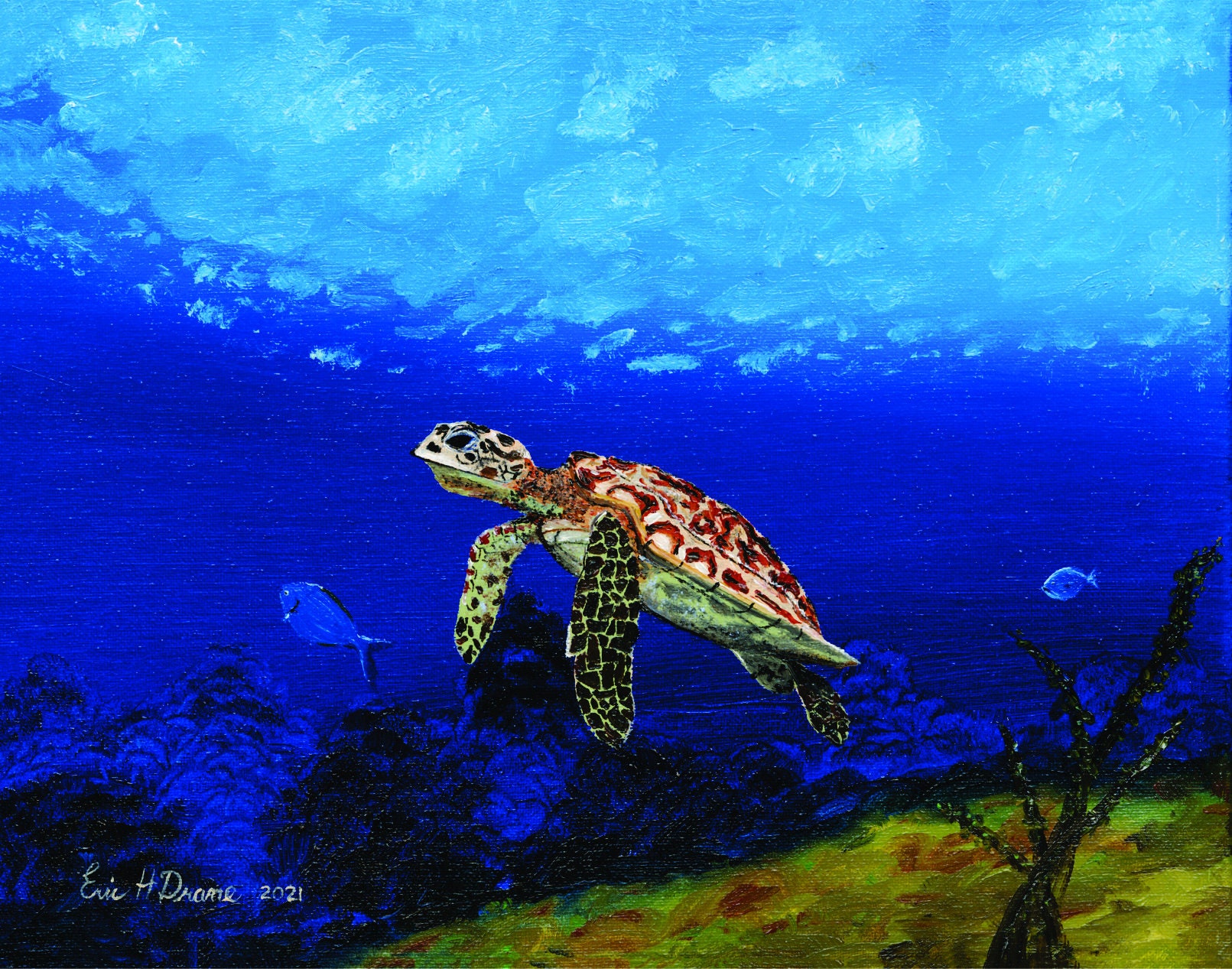 Gentle Sea Turtle, 12" X 15" the 6th (giclee Print) of My Collection - Etsy