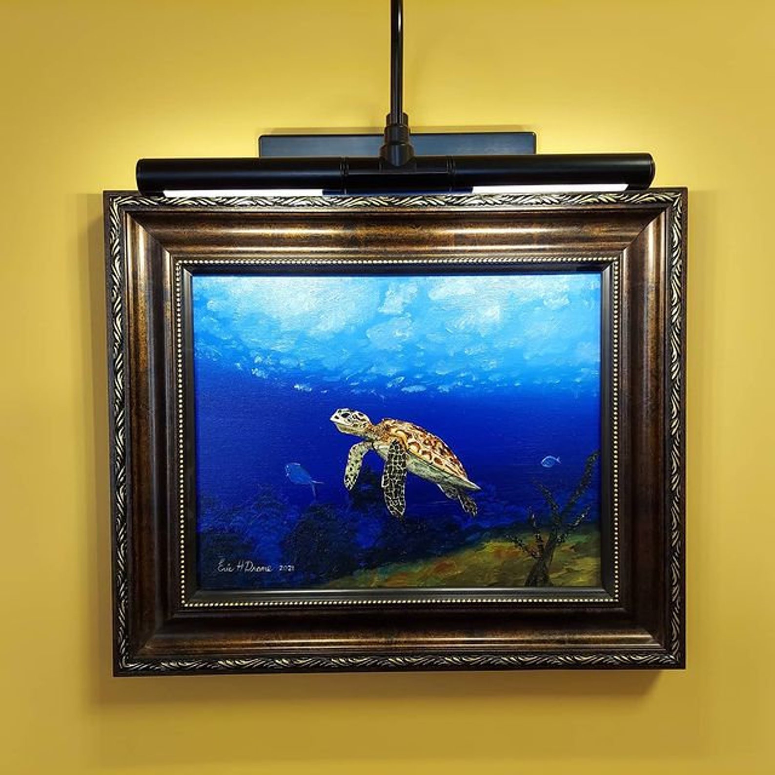 Gentle Sea Turtle, 12" X 15" the 6th (giclee Print) of My Collection - Etsy