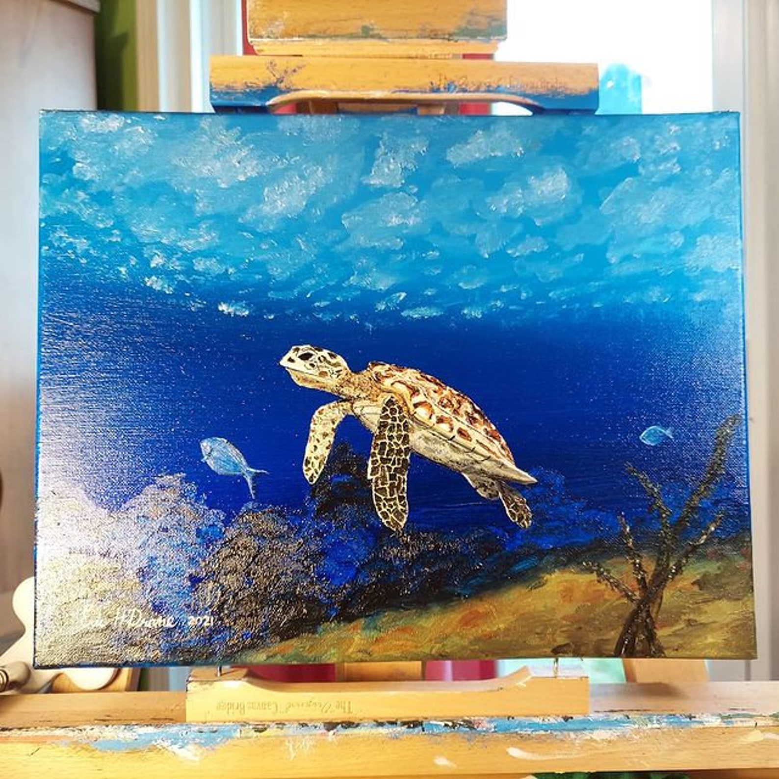 Gentle Sea Turtle, 12" X 15" the 6th (giclee Print) of My Collection - Etsy