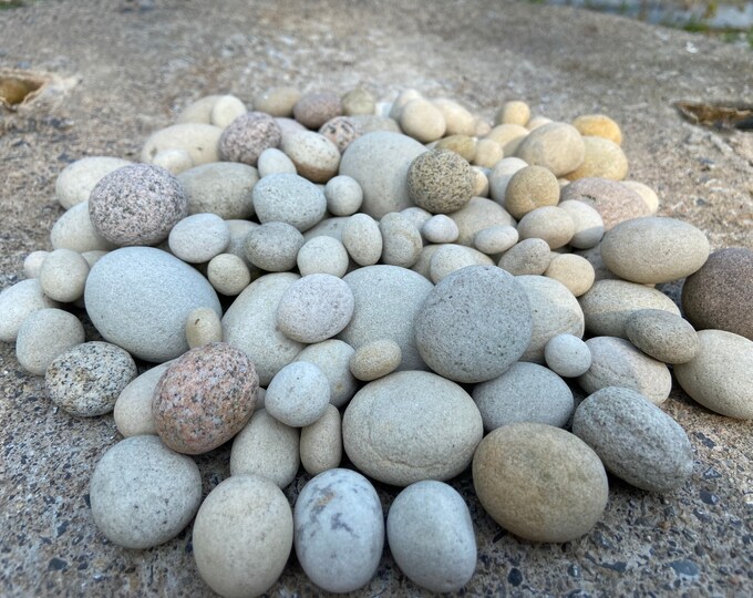 Natural White Round Beach Stone for Aquariumsterrariumsor - Etsy