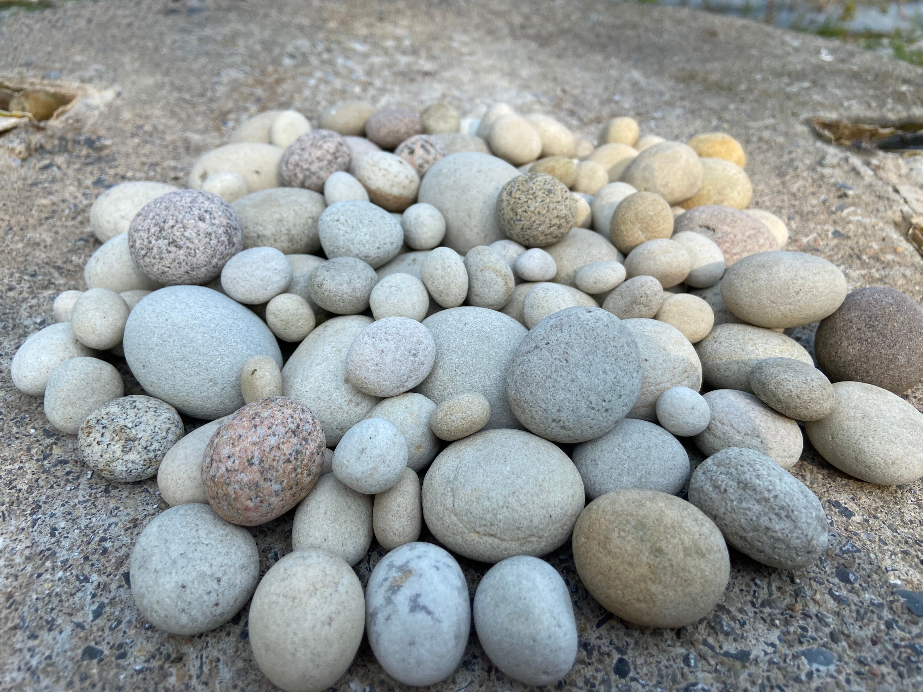 Natural White Round Beach Stone for Aquariums,terrariums,or Minimal ...