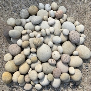 Natural White Round Beach Stone for Aquariums,terrariums,or Minimal ...