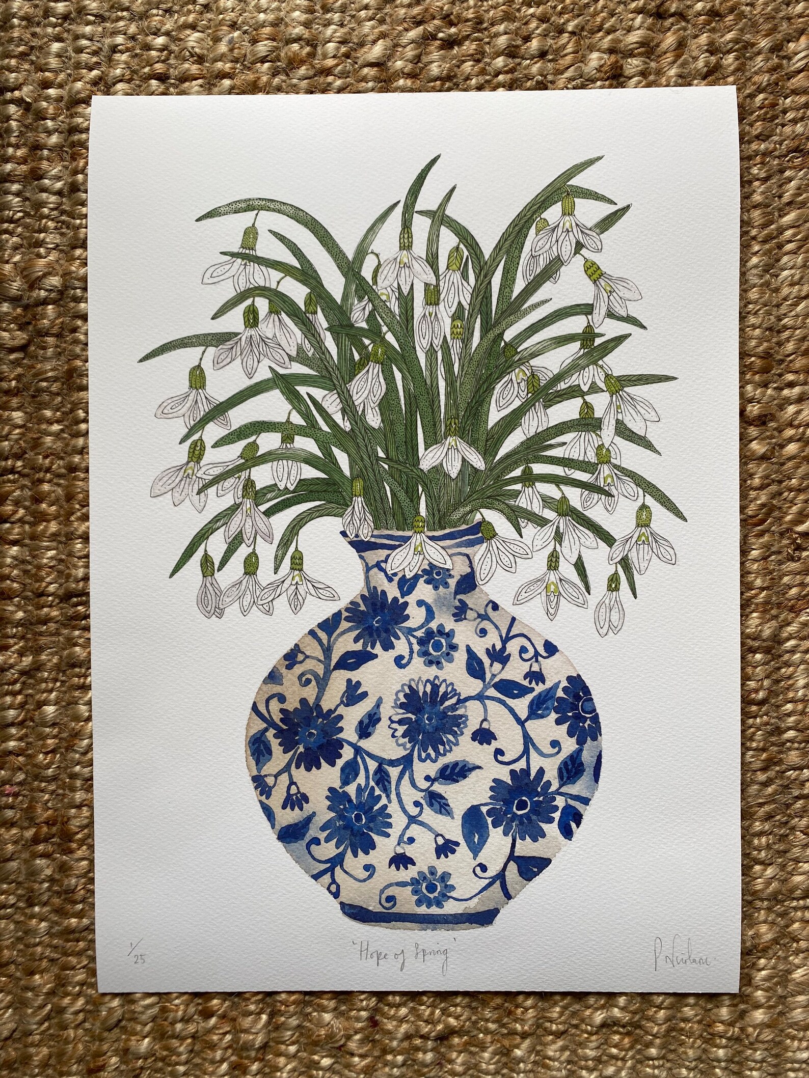 A3 Limited Edition Giclee Print of a Bunch of Snowdrops in a - Etsy