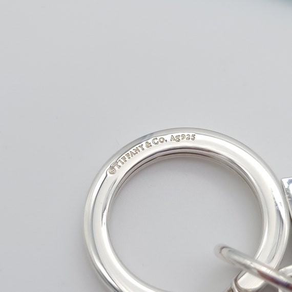 Brand New Tiffany & Co. Sterling Silver 175 Pitt Stre… - Gem