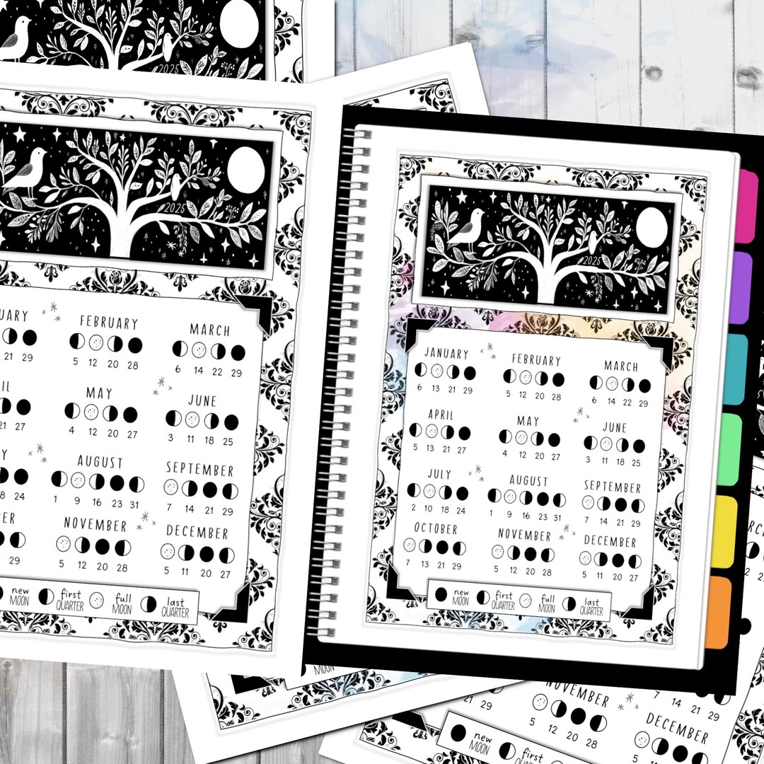 2025 Lunar Calendar Northern Hemisphere | Simple Moon Phase Calendar ...