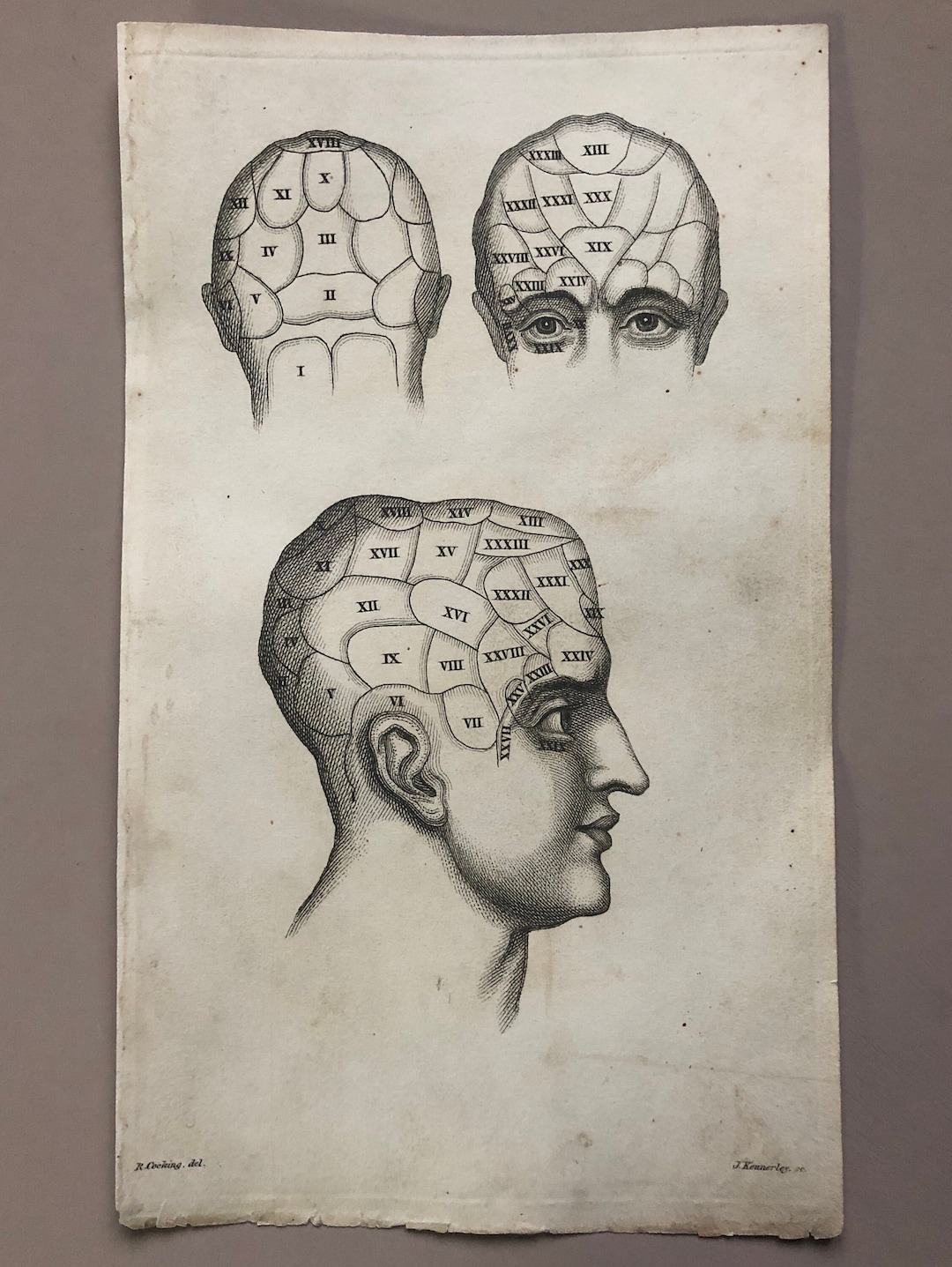 Two Engravings From Craniology Burlesqued in Serio-comic Lectures ...