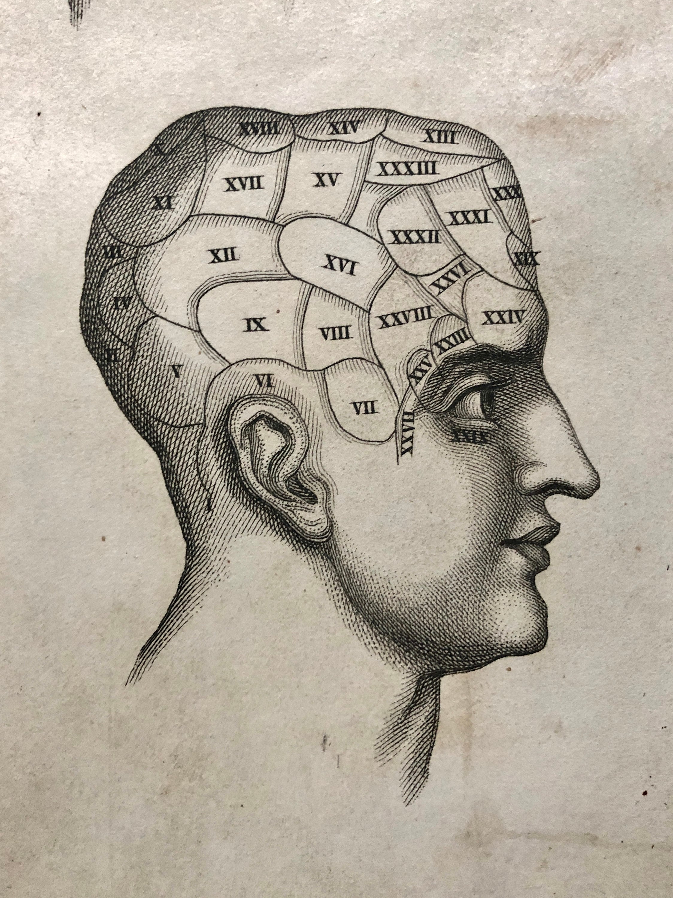 Two Engravings From Craniology Burlesqued in Serio-comic Lectures ...