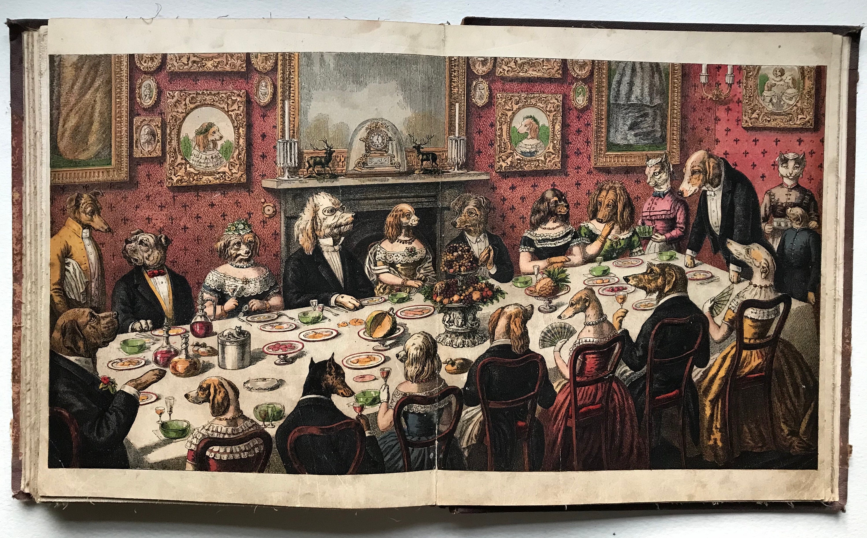 The Dogs’ Dinner Party, the White Cat, the Little Dog Trusty and My ...