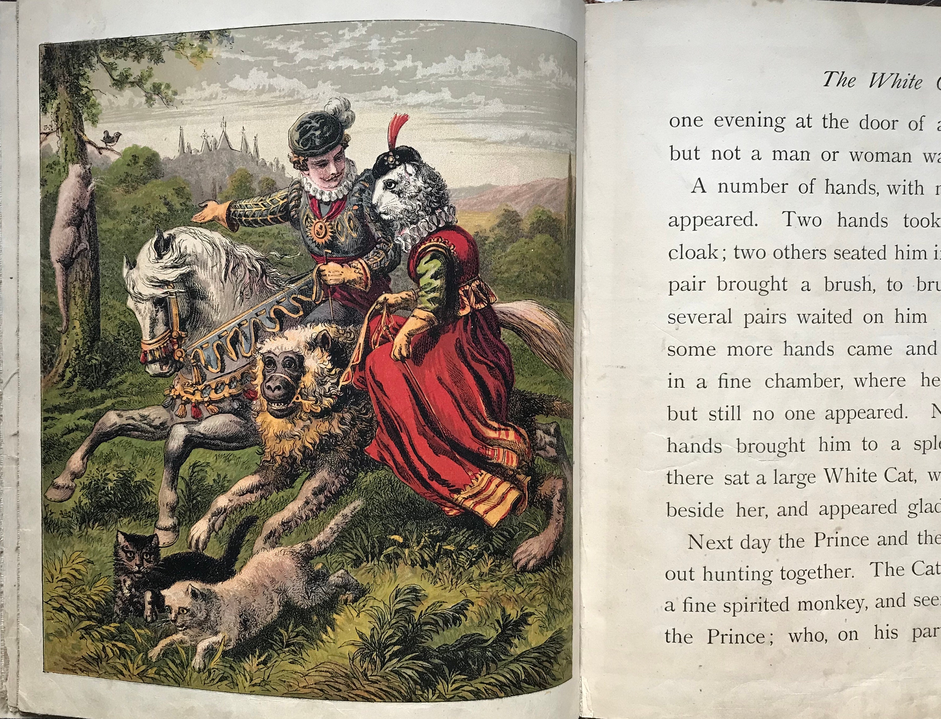 The Dogs’ Dinner Party, the White Cat, the Little Dog Trusty and My ...