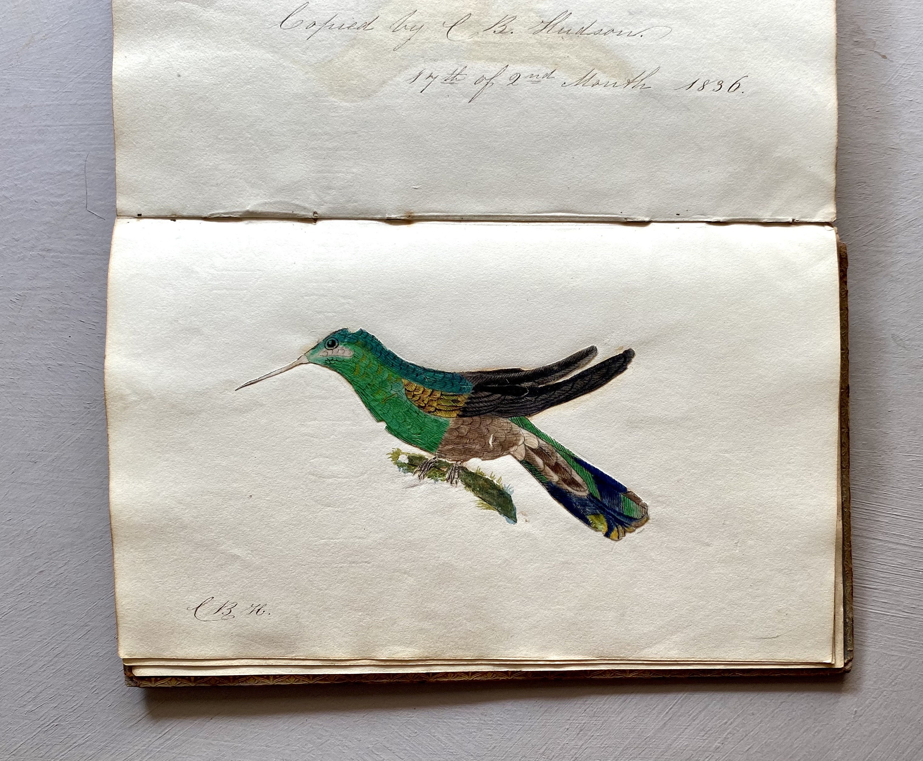 A Scrapbook From the Early 1800s. Watercolours, Drawings and Decorative ...